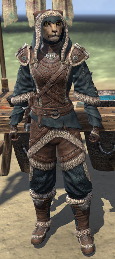 ESO Fashion | Snowhawk (Elder Scrolls Online)