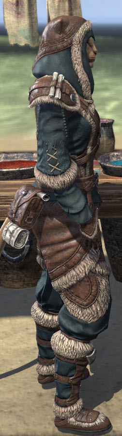 ESO Fashion | Snowhawk (Elder Scrolls Online)