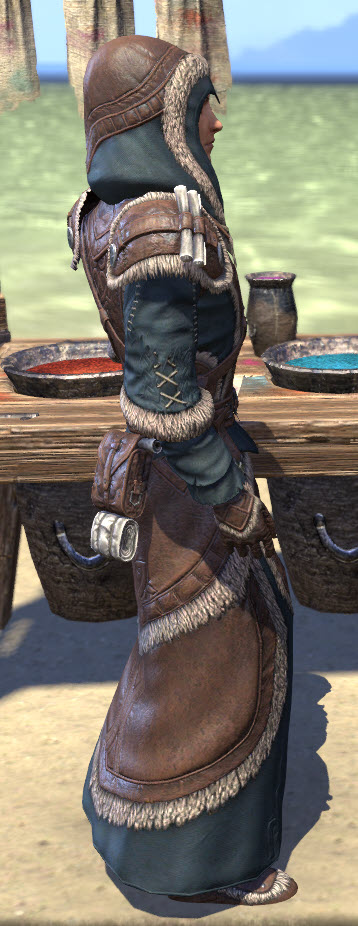 ESO Fashion | Snowhawk (Elder Scrolls Online)