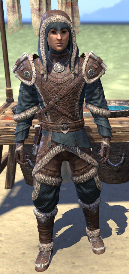 ESO Fashion | Snowhawk (Elder Scrolls Online)