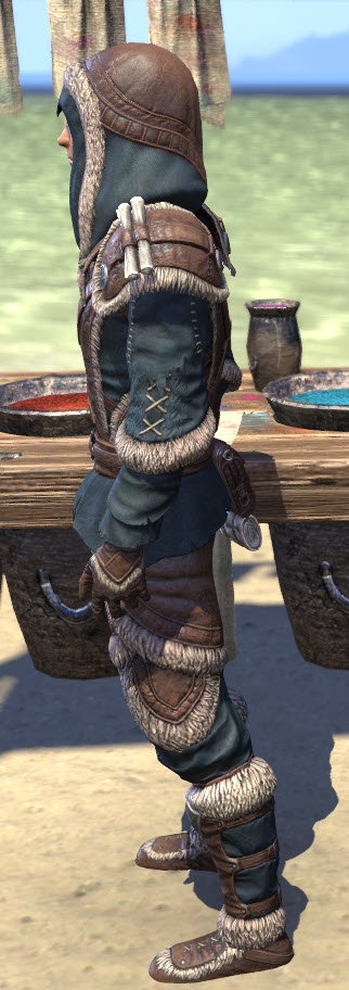 ESO Fashion | Snowhawk (Elder Scrolls Online)