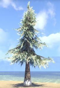 ESO Fashion | Tree, White Pine (Elder Scrolls Online)