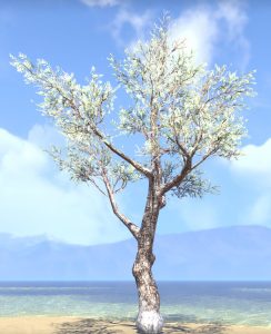 ESO Fashion | Tree, Winter Pine (Elder Scrolls Online)