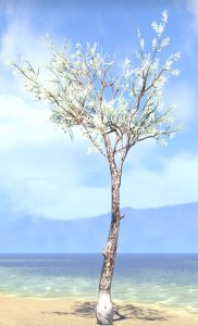 ESO Fashion | Tree, Young Winter Pine (Elder Scrolls Online)