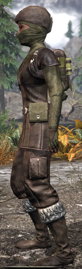 ESO Fashion | Master Field Cartographer (Elder Scrolls Online)