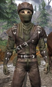 ESO Fashion | Master Field Cartographer (Elder Scrolls Online)
