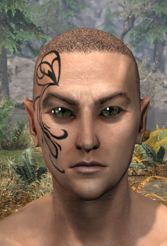 ESO Fashion | Bards College Skald Face Marks (Elder Scrolls Online)