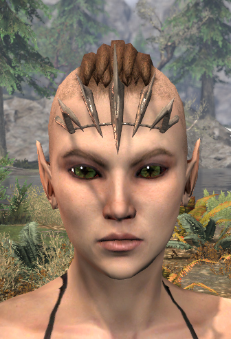 ESO Fashion | Blood Scion Razorguard (Elder Scrolls Online)