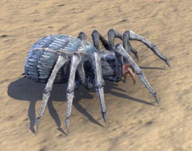 ESO Fashion | Frostbite Spider (Elder Scrolls Online)