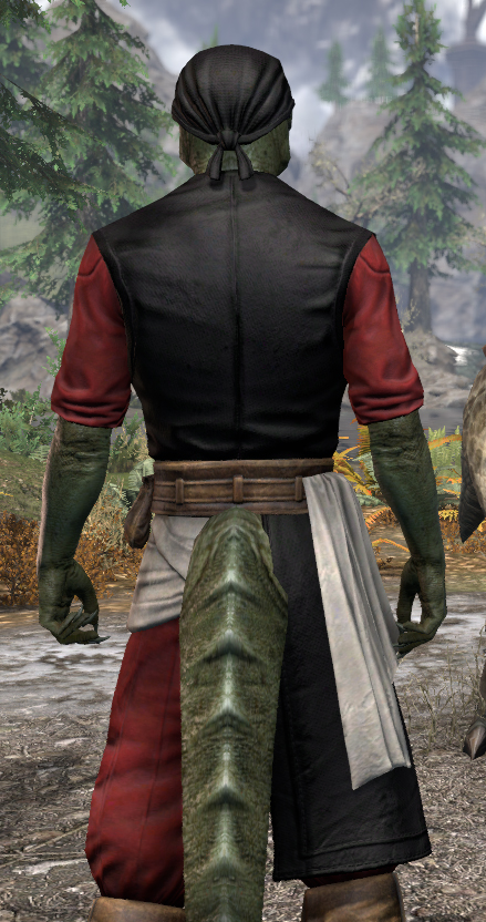 ESO Fashion | Innkeeper (Elder Scrolls Online)