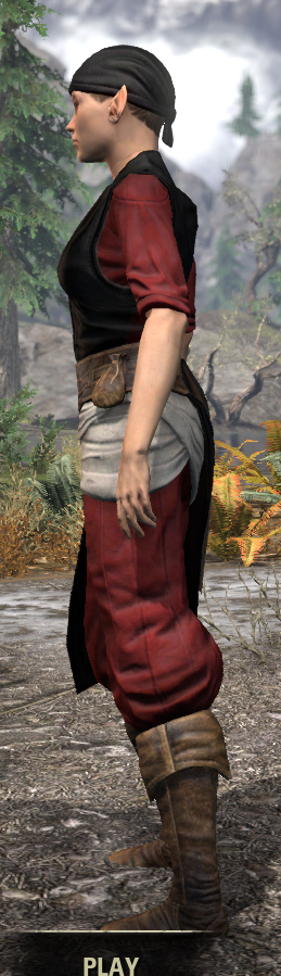 ESO Fashion | Innkeeper (Elder Scrolls Online)