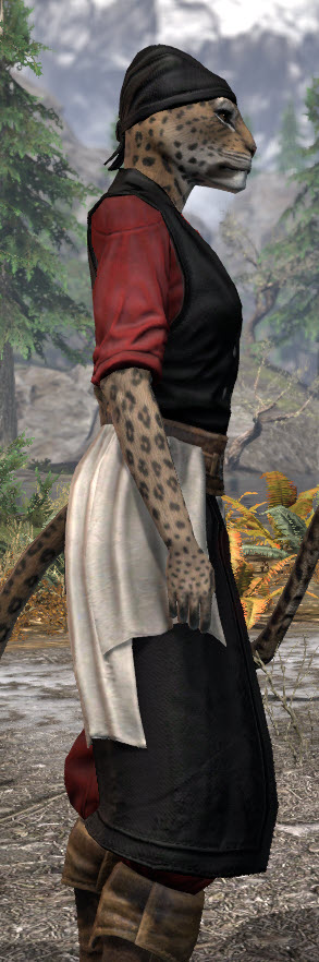 ESO Fashion | Innkeeper (Elder Scrolls Online)