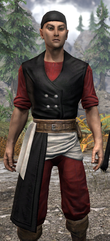ESO Fashion | Innkeeper (Elder Scrolls Online)