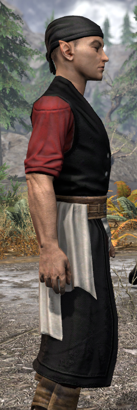 ESO Fashion | Innkeeper (Elder Scrolls Online)