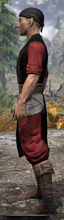 ESO Fashion | Innkeeper (Elder Scrolls Online)