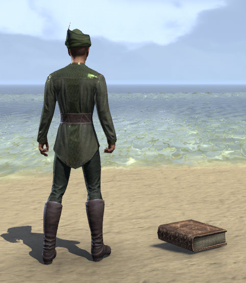 ESO Fashion | The Song of Pelinal, Volume 6 (Elder Scrolls Online)