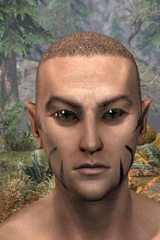 ESO Fashion | Umbral Snarl Face Markings (Elder Scrolls Online)