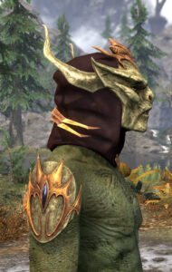 ESO Fashion | Lady Thorn (Elder Scrolls Online)