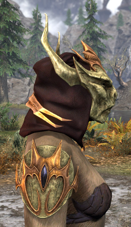 ESO Fashion | Lady Thorn (Elder Scrolls Online)
