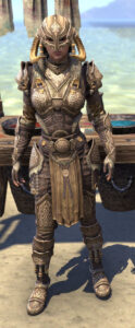 ESO Fashion | Sovngarde Stalwart (Elder Scrolls Online)