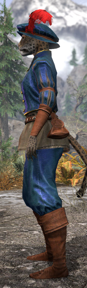 ESO Fashion | Singing Skald (Elder Scrolls Online)