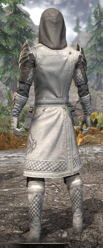 ESO Fashion | Eccentric Experimenter (Elder Scrolls Online)