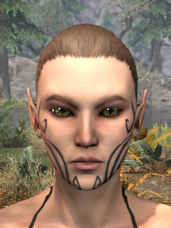 ESO Fashion | Path of Valor Face Markings (Elder Scrolls Online)