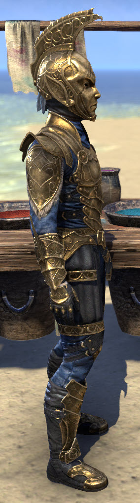 ESO Fashion | Doctrine Ordinator (Elder Scrolls Online)