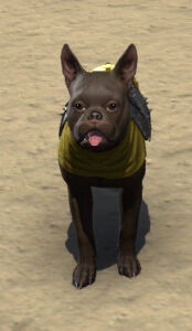 ESO Fashion | Dominion Breton Terrier (Elder Scrolls Online)