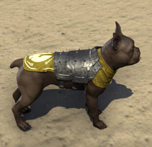 ESO Fashion | Dominion Breton Terrier (Elder Scrolls Online)