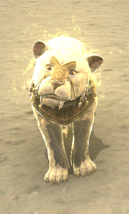 ESO Fashion | Sovngarde Sabre Cat Cub (Elder Scrolls Online)