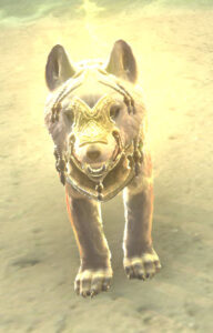 ESO Fashion | Sovngarde Wolf Pup (Elder Scrolls Online)