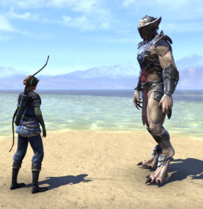 ESO Fashion | Target Bloodknight (Elder Scrolls Online)