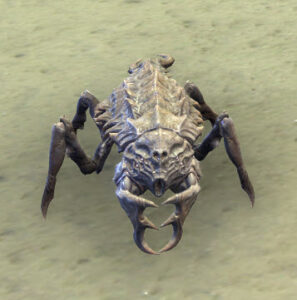 ESO Fashion | Teacup Chaurus Chitterling (Elder Scrolls Online)