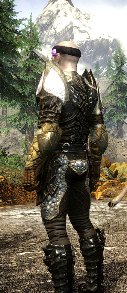 ESO Fashion | Corentin Ascant (Battle Mage) [EU] (Elder Scrolls Online)