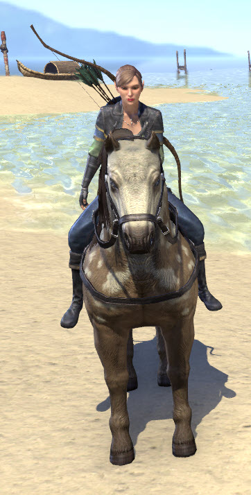 ESO Fashion | Daggerfall Dapple Horse (Elder Scrolls Online)