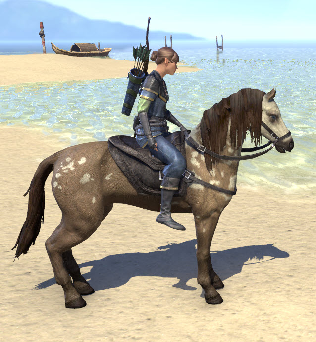 ESO Fashion | Daggerfall Dapple Horse (Elder Scrolls Online)