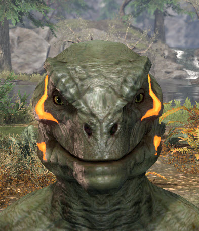 ESO Fashion | Lambent Guar Face Markings (Elder Scrolls Online)