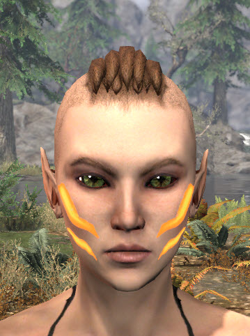 ESO Fashion | Lambent Guar Face Markings (Elder Scrolls Online)
