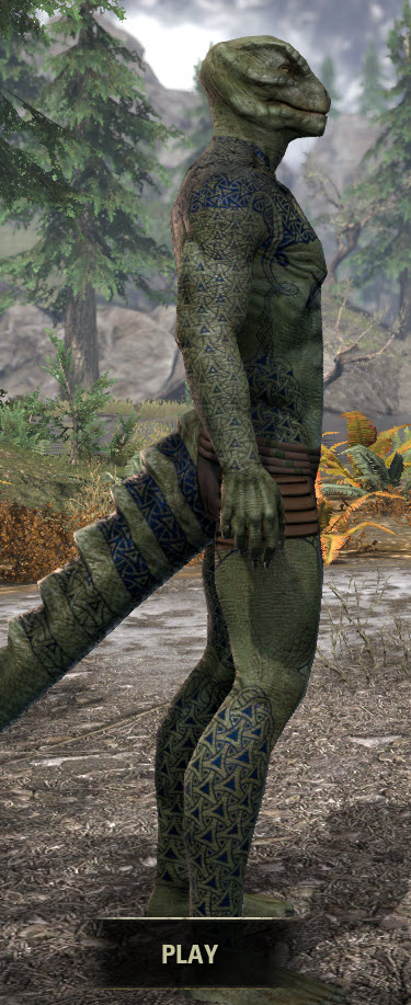 ESO Fashion | Riften Rogue Body Markings (Elder Scrolls Online)