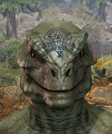 ESO Fashion | Riften Rogue Face Markings (Elder Scrolls Online)