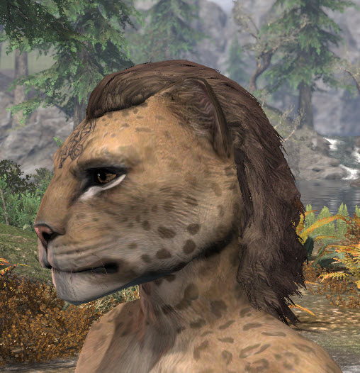 ESO Fashion | Riften Rogue Face Markings (Elder Scrolls Online)