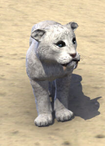 ESO Fashion | Snowy Sabre Cat Cub (Elder Scrolls Online)