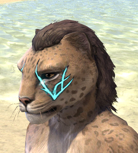 ESO Fashion | Blessed Life-Tree Face Markings (Elder Scrolls Online)
