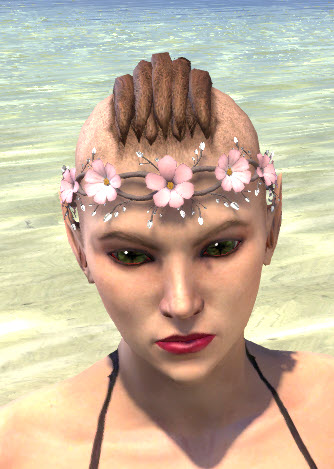 ESO Fashion | Cherry Blossom Anadem (Elder Scrolls Online)