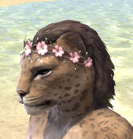 ESO Fashion | Cherry Blossom Anadem (Elder Scrolls Online)