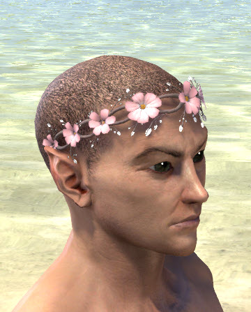 ESO Fashion | Cherry Blossom Anadem (Elder Scrolls Online)