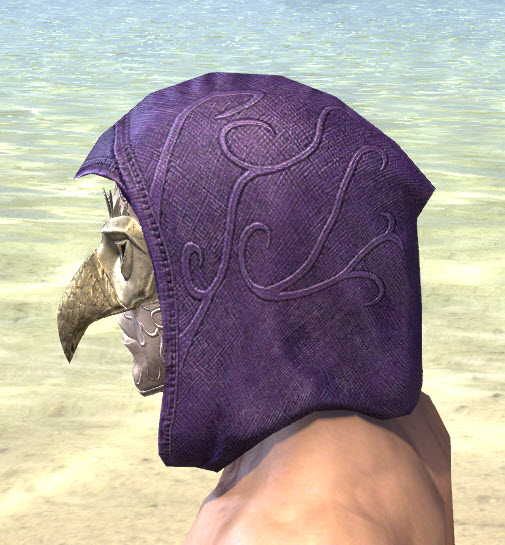 ESO Fashion | Courtly Crow Mask (Elder Scrolls Online)
