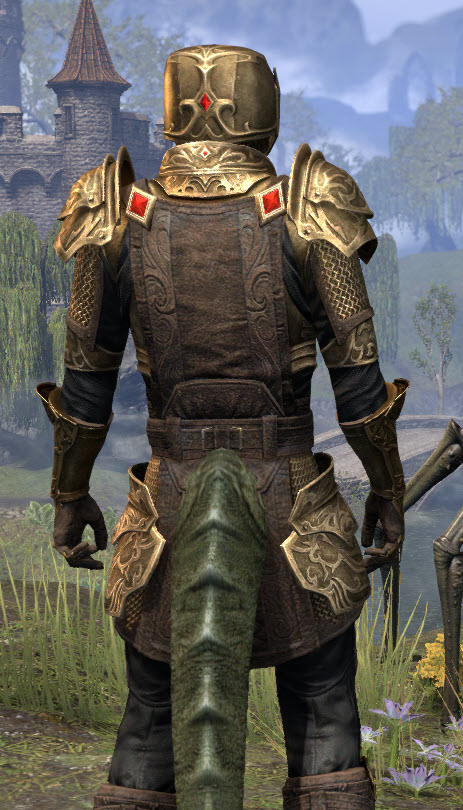 ESO Fashion | Imperial Champion (Elder Scrolls Online)