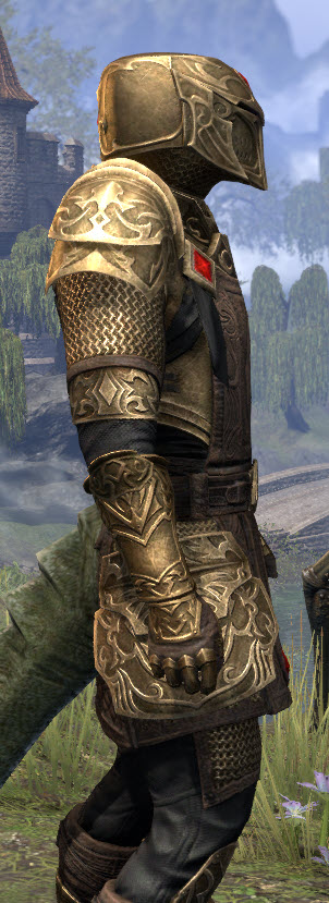 ESO Fashion | Imperial Champion (Elder Scrolls Online)